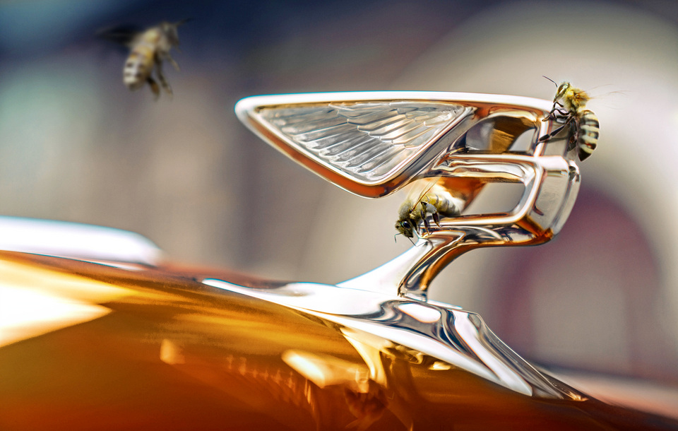 벤틀리·람보르기니, 마케팅 대결 ‘후끈’